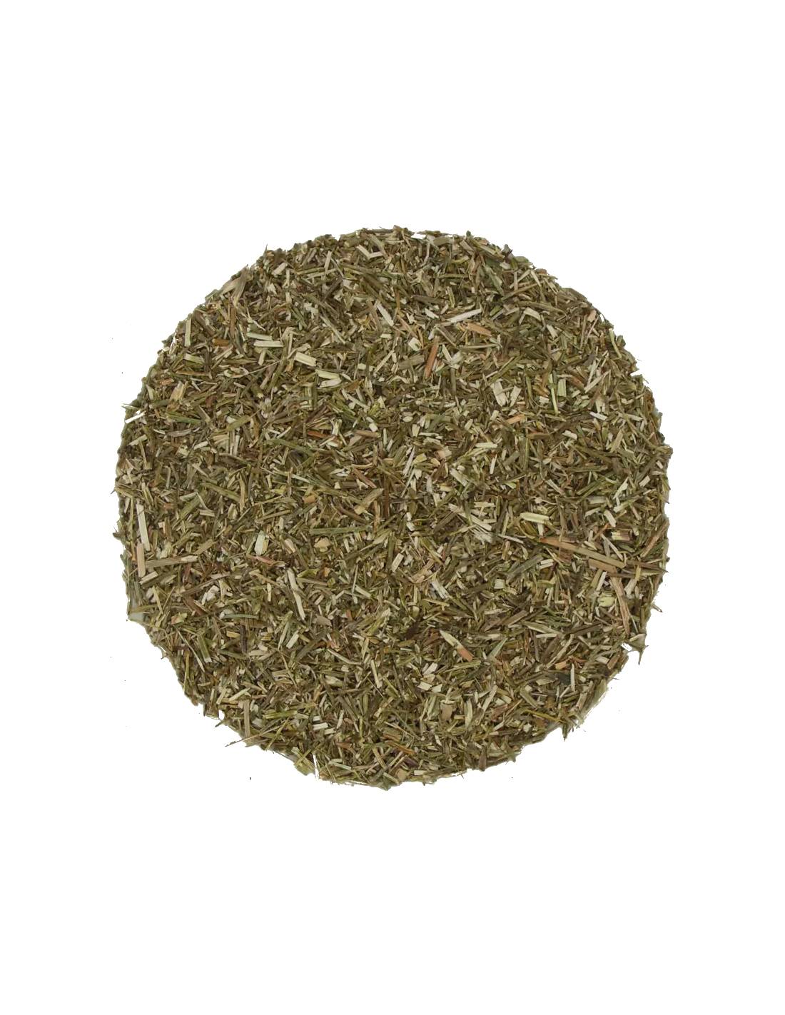 Tienda de Té e Infusiones | TEAinFUSION | Fabrica de Té